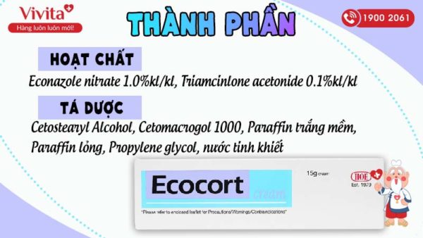 Kem bôi trị nấm Ecocort cream Tuýp 15g - Nhà Thuốc VIVITA