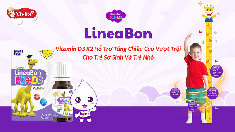 Hướng dẫn cách sử dụng Lineabon D3K2 hiệu quả cao nhất