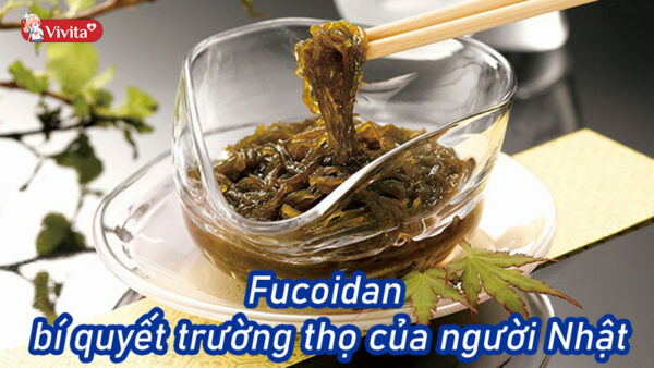 Fucoidan: Đặc điểm, thành phần, công dụng, đối tượng sử dụng