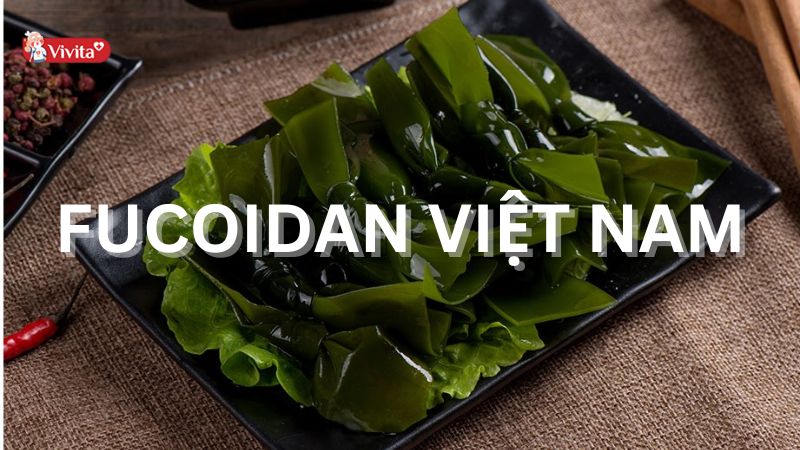 Top 5 Fucoidan Việt Nam tốt nhất được khuyên dùng hiện nay