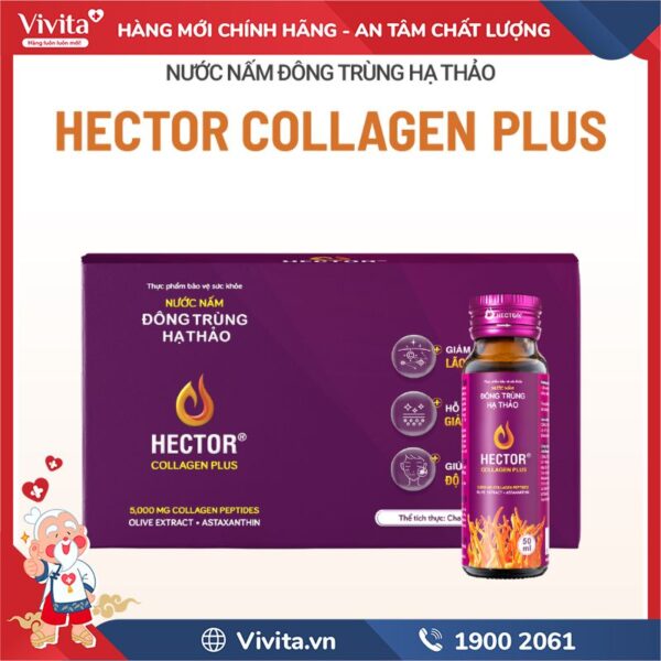 Nước Nấm Đông Trùng Hạ Thảo Hector Collagen Plus (50ml x 10 chai)